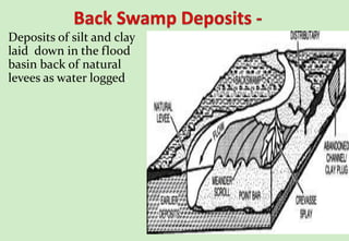 Fluvial depositional landform geomorphology | PPTX