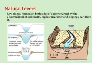 Fluvial depositional landform geomorphology | PPTX
