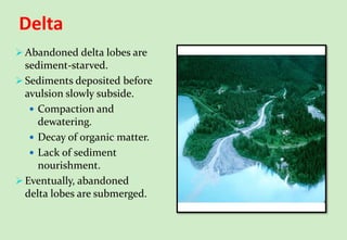Fluvial depositional landform geomorphology | PPTX
