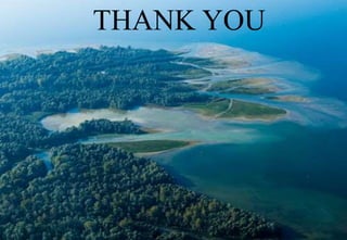 Fluvial depositional landform geomorphology | PPTX