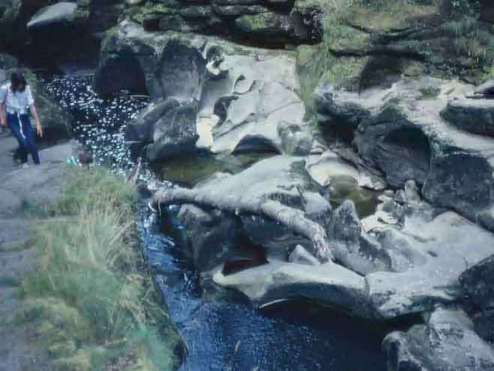 Fluvial landforms | PPTX