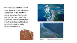 Fluvial morphology | PPTX