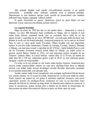 FLUVIUL AMAZON.doc