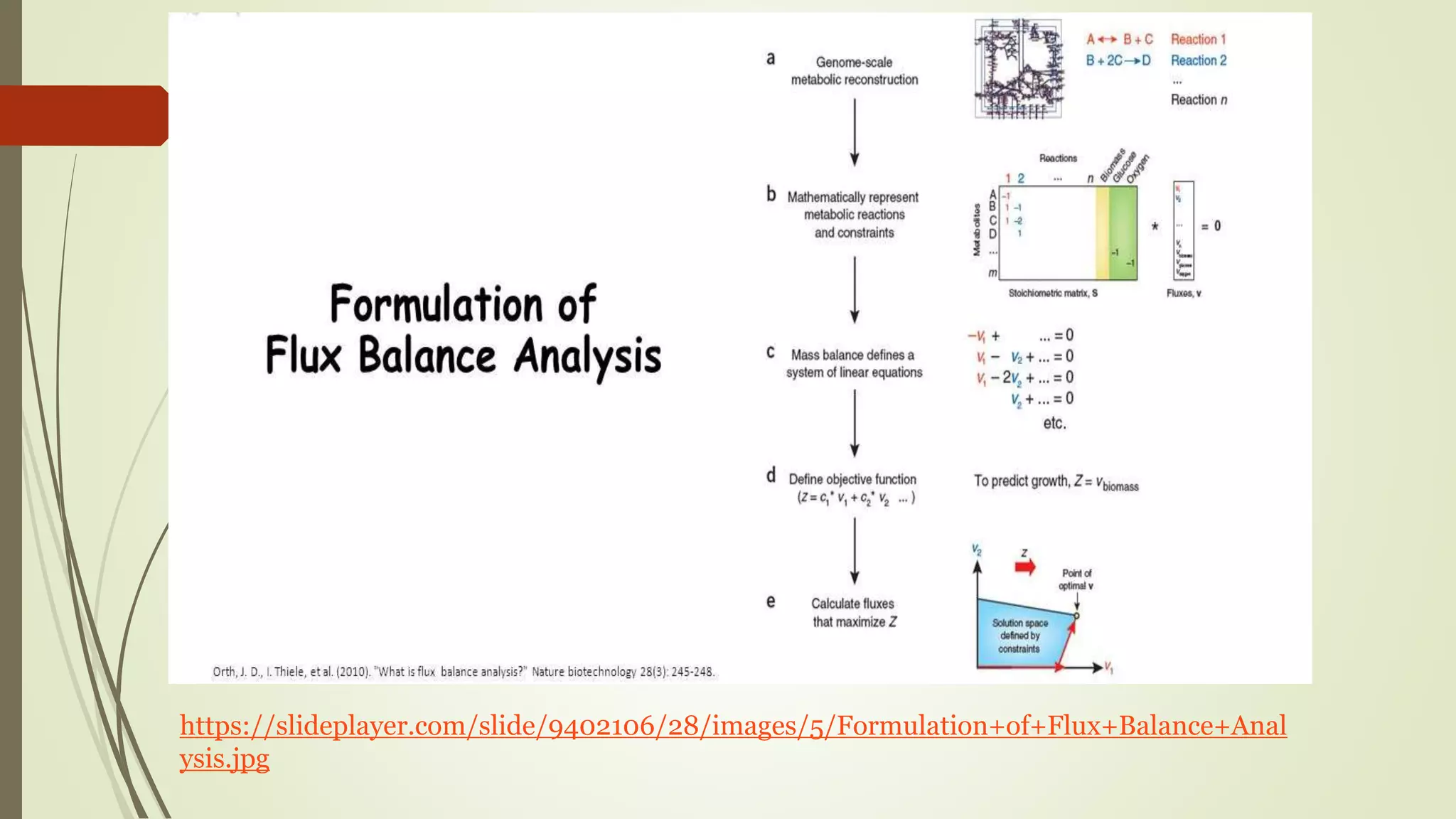 Flux balance analysis | PPTX
