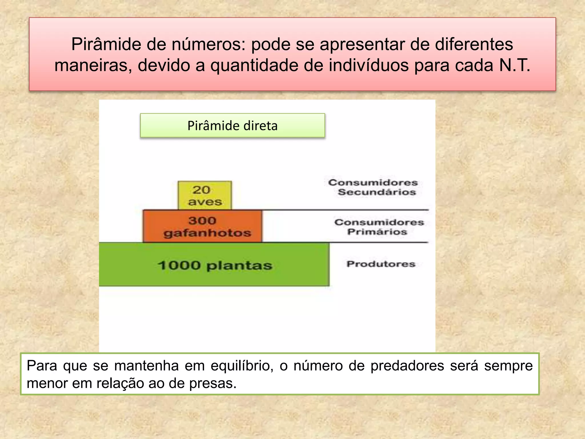 Fluxo de energia e pirâmides ecológicas | PPT