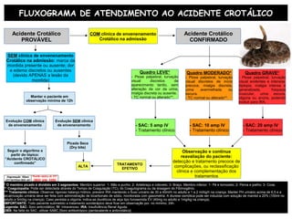 FLUXOGRAMA ATENDIMENTO ANIMAIS PEÇONHENTOS.pdf (1).pdf