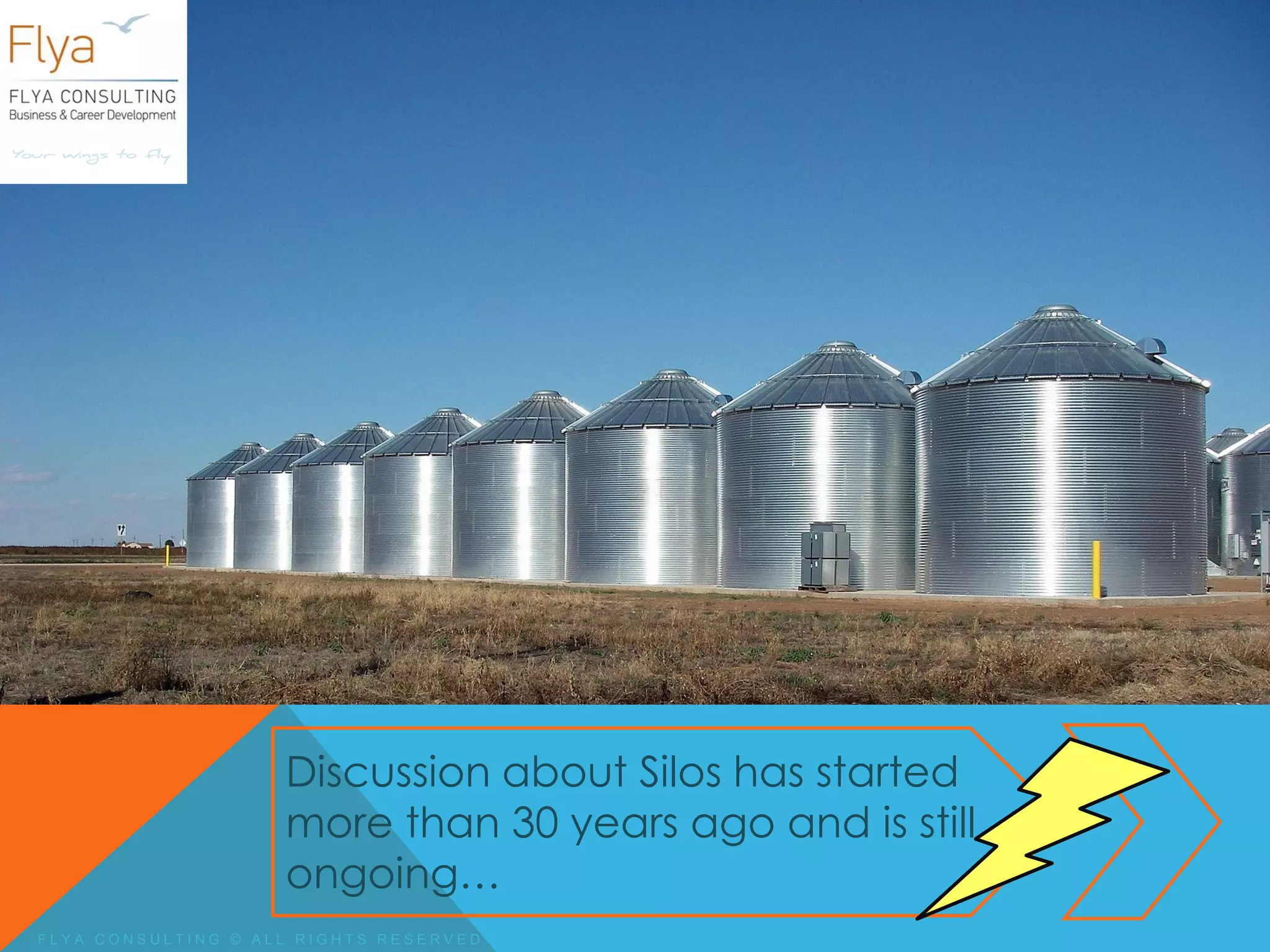 Breaking The Silos | PDF | Business | Business and Finance