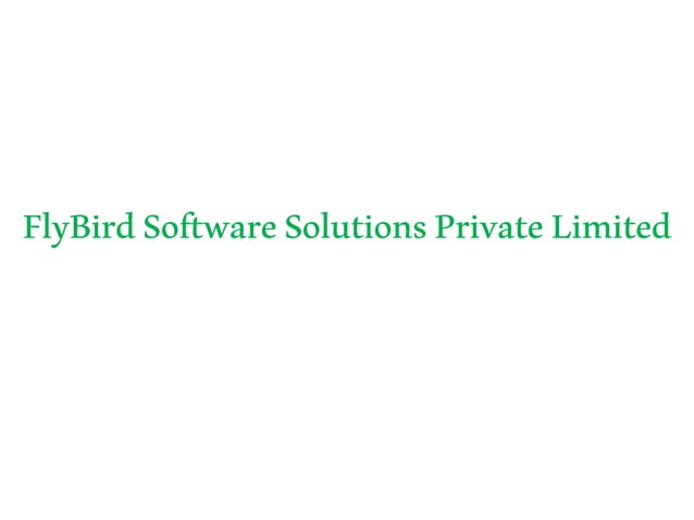 Flybird | PPT