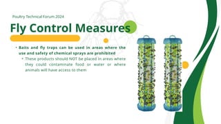 Fly Control Program To Understand and Control Fly | PPTX