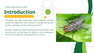 Fly Control Program To Understand and Control Fly | PPTX