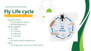 Fly Control Program To Understand and Control Fly | PPTX