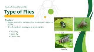 Fly Control Program To Understand and Control Fly | PPTX