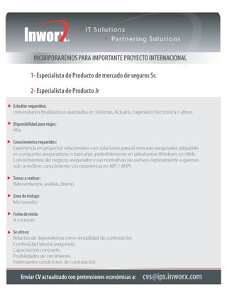 Flyer Ips | PDF