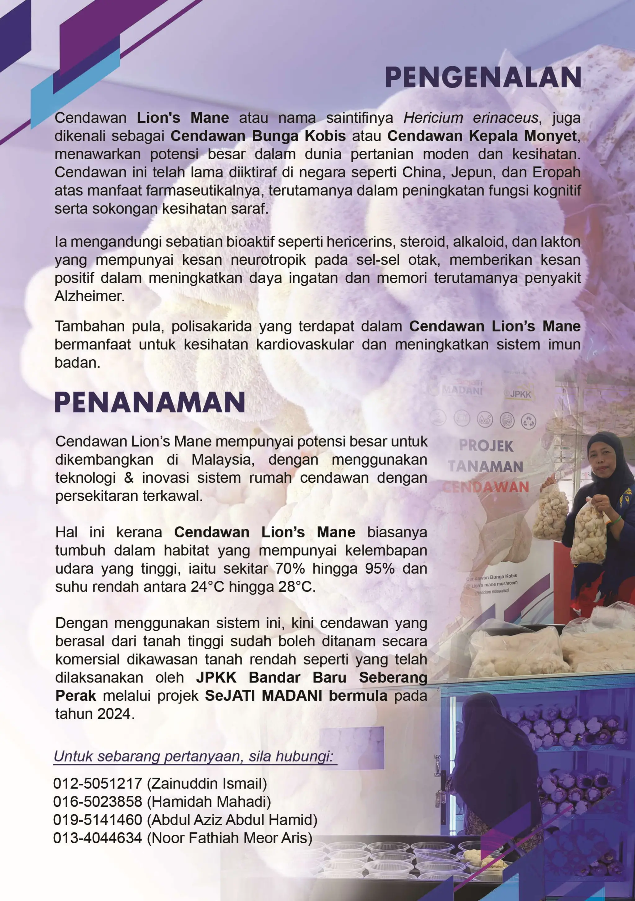 Flyers Projek Cendawan SeJATI MADANI.pdf