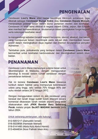 Flyers Projek Cendawan SeJATI MADANI.pdf
