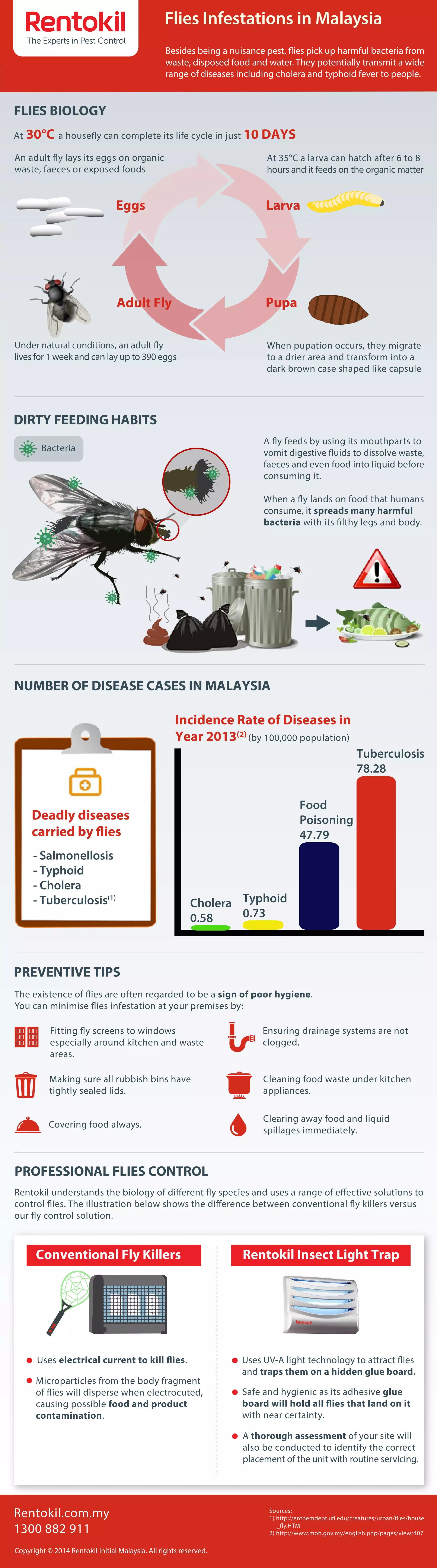 Flies Infestation in Malaysia | PDF