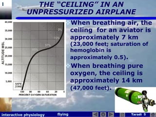 Flying, aviation | PPT