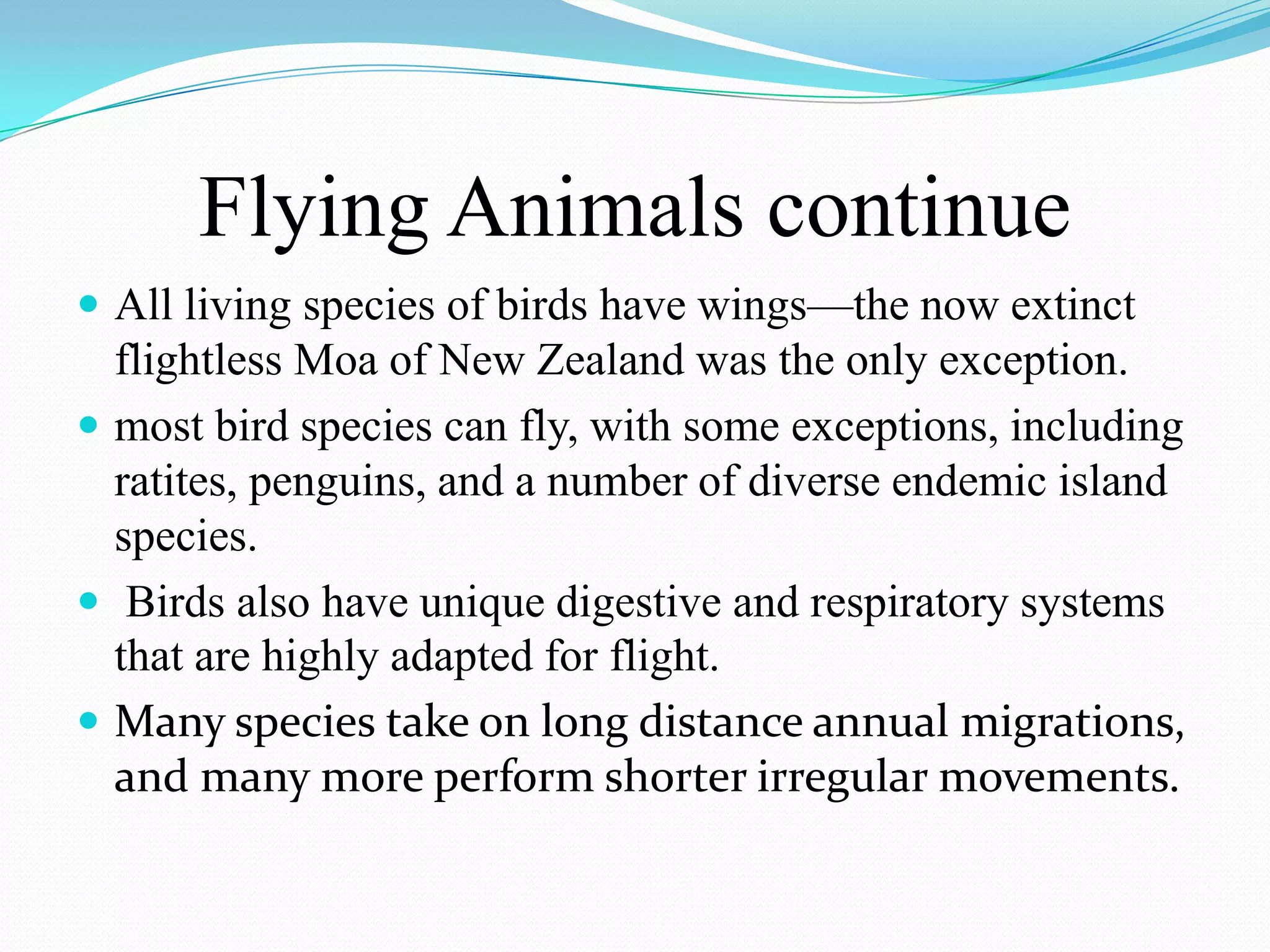 Flying animals | PPTX