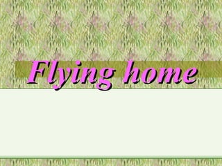 Flying home | PPT