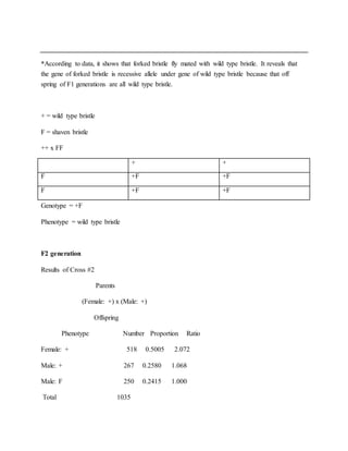 Fly lab experiment | DOCX