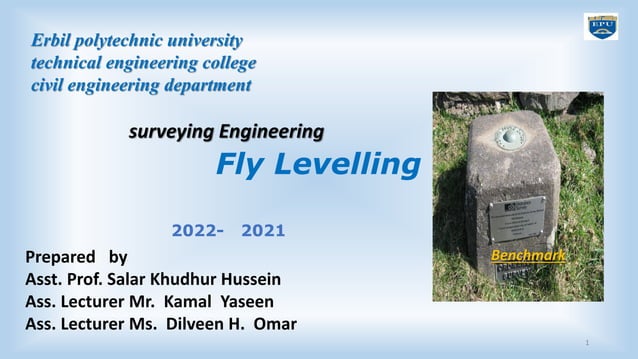 Fly Levelling | PDF | Physics | Science
