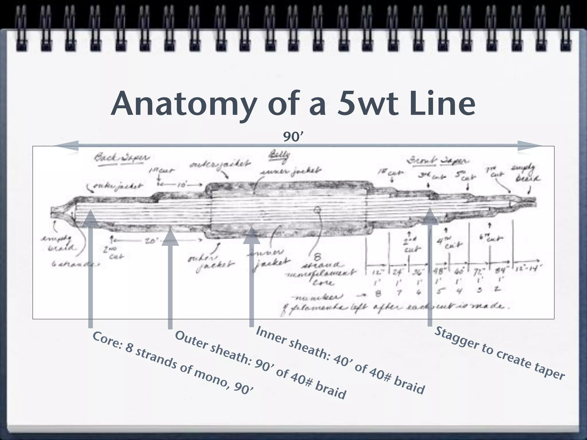 Fly lines how to make them overview | PDF