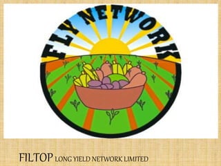 Fly Network Presentation | PPTX