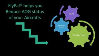 FlyPal products in images | PPTX