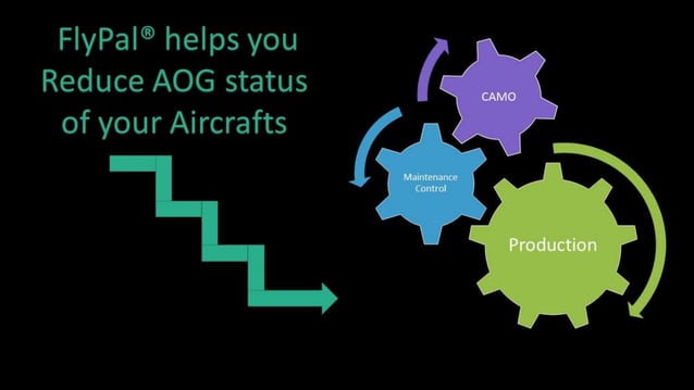 FlyPal products in images | PPT