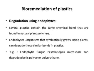 Ppt on the topic about environment Bioremedation | PDF