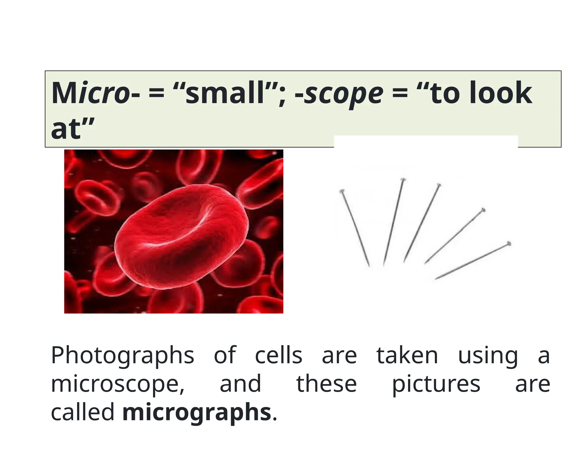 A microscope is a laboratory instrument used to examine objects that ...