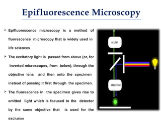 A microscope is a laboratory instrument used to examine objects that ...