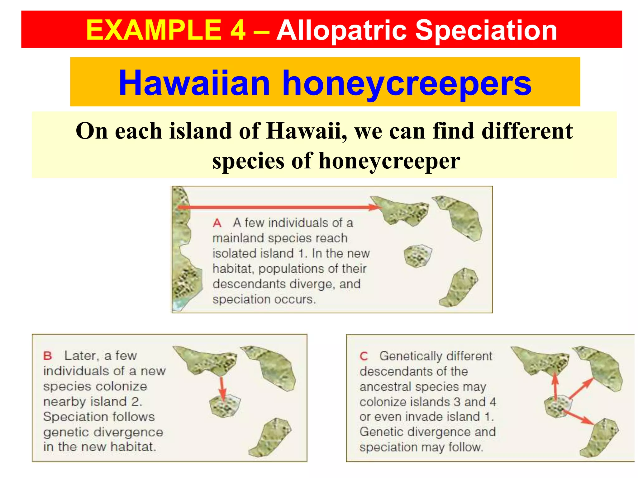 Speciation and it'stypes | PPT