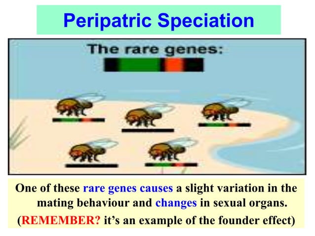 Speciation and it'stypes | PPT