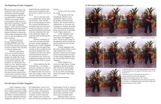 Fma informative issue66 baxafra armor | PDF