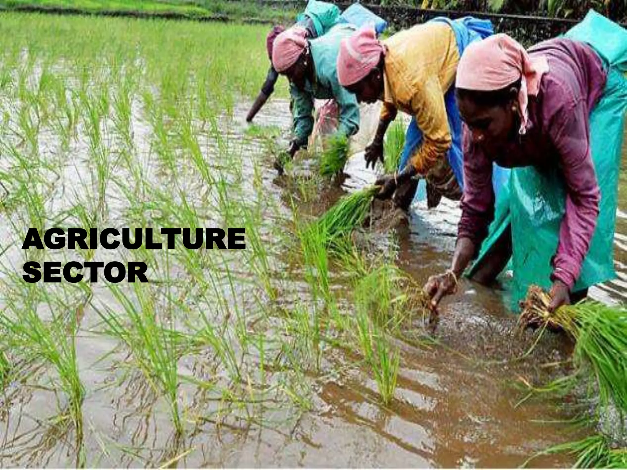 FINANCIAL PERFORMANCE ANALYSIS OF NESTLE INDIA, HATSUN AGRO PRODUCTS AND VADILAL DAIRY ...