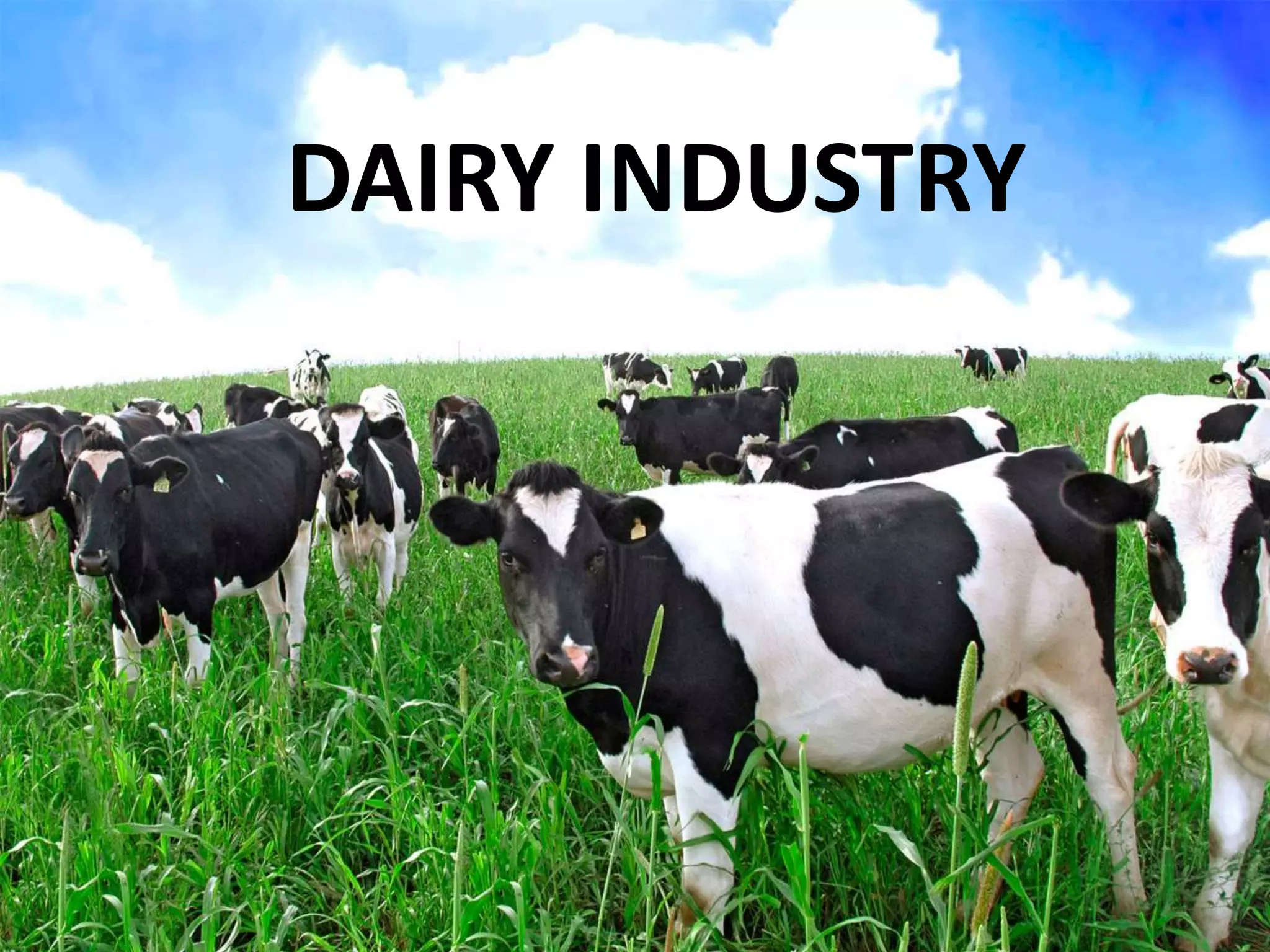 FINANCIAL PERFORMANCE ANALYSIS OF NESTLE INDIA, HATSUN AGRO PRODUCTS AND VADILAL DAIRY ...