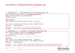 Oracle Globalization Support, NLS_LENGTH_SEMANTICS, Unicode | PDF