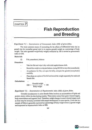 Fish Population Dynamics Lab | PDF