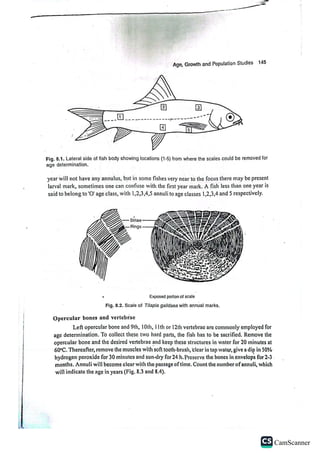Fish Population Dynamics Lab | PDF