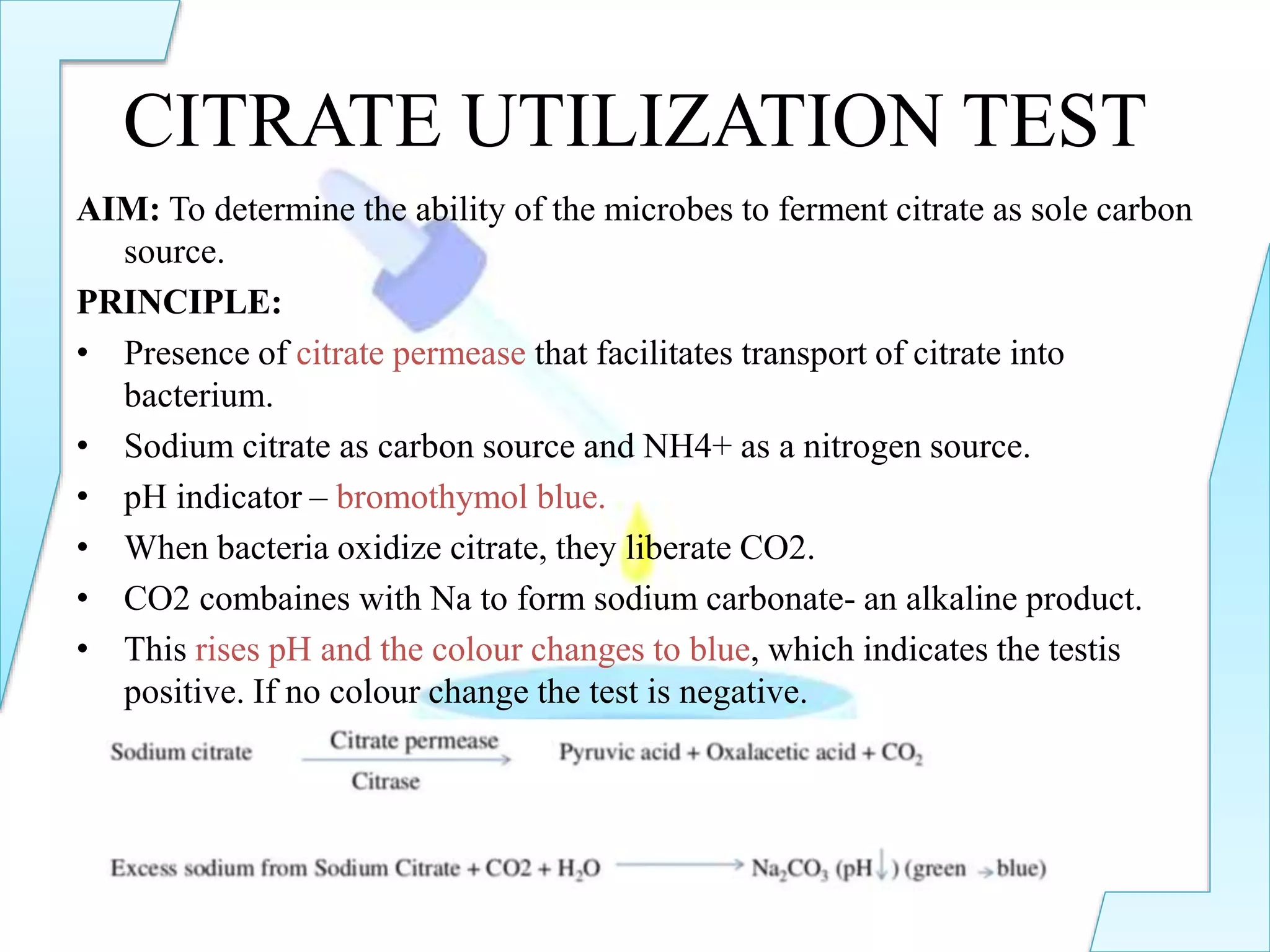BIOCHEMICAL TEST IN MICROBIOLOGY | PPTX