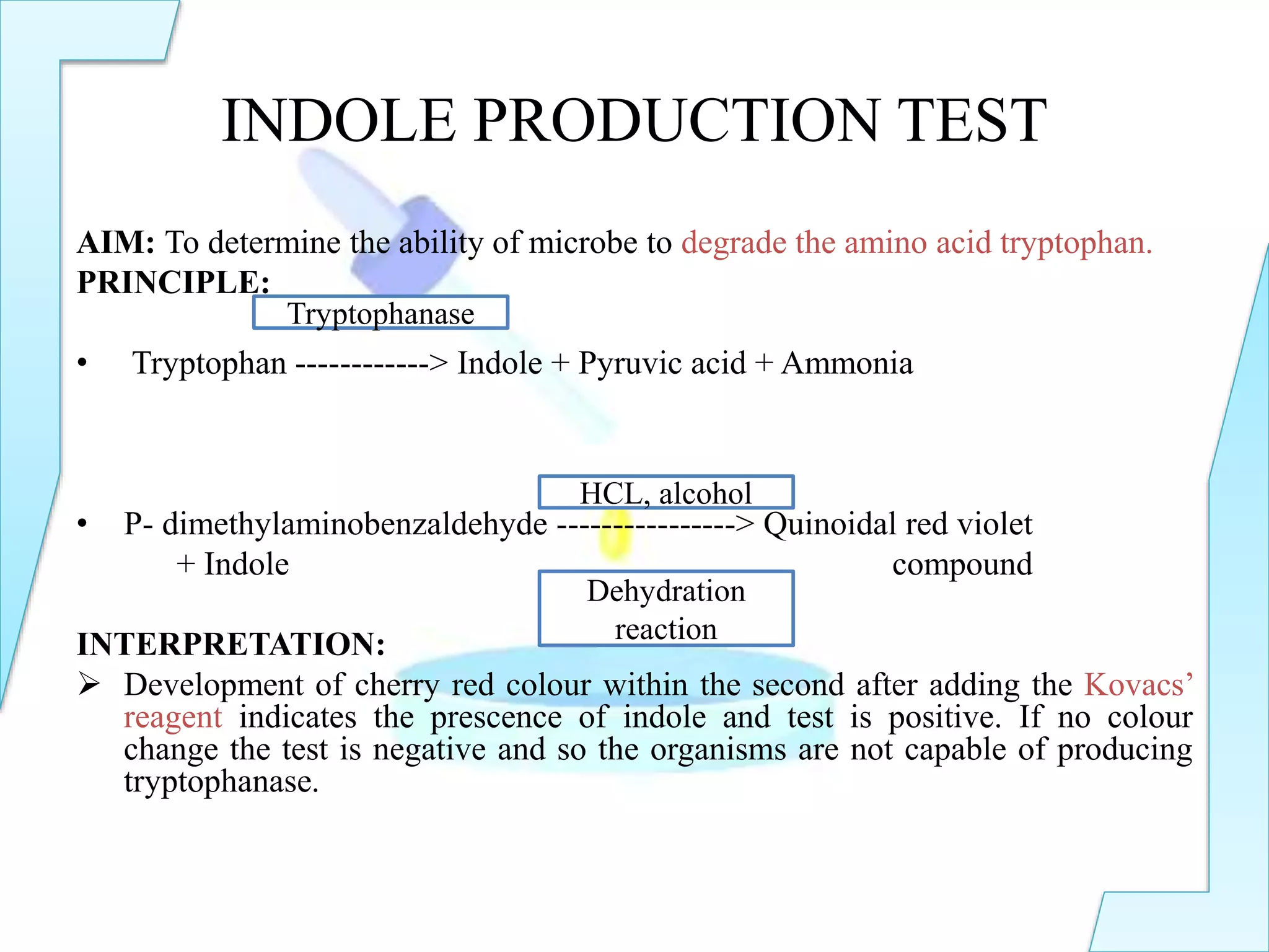 BIOCHEMICAL TEST IN MICROBIOLOGY | PPTX