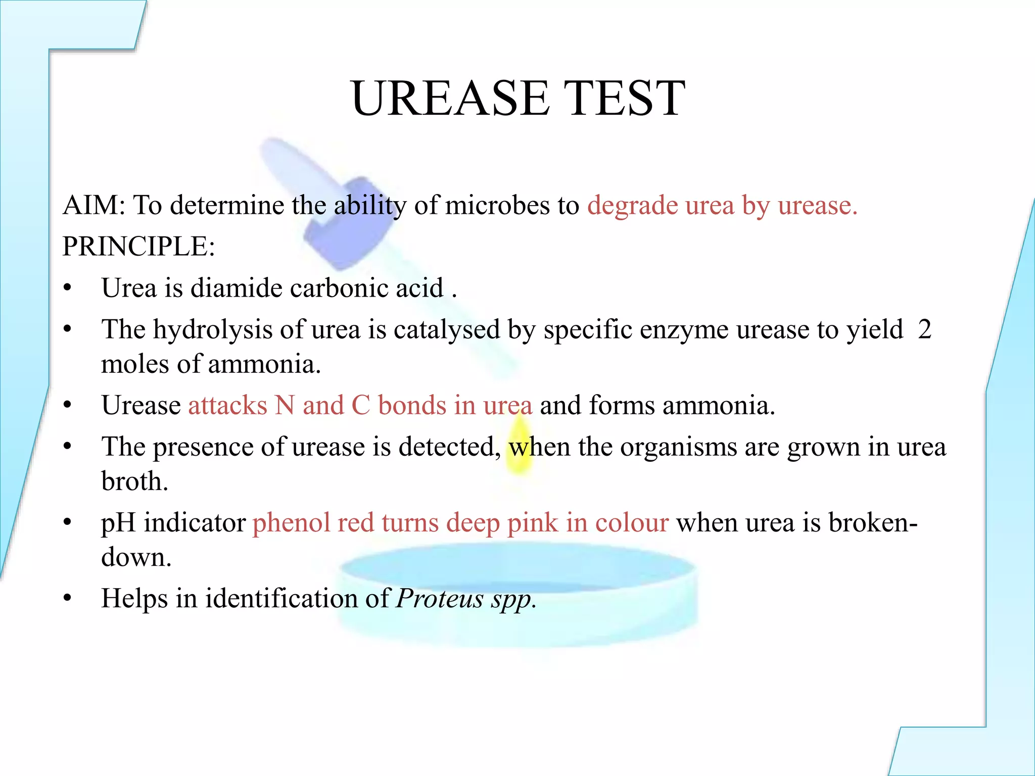 BIOCHEMICAL TEST IN MICROBIOLOGY | PPTX