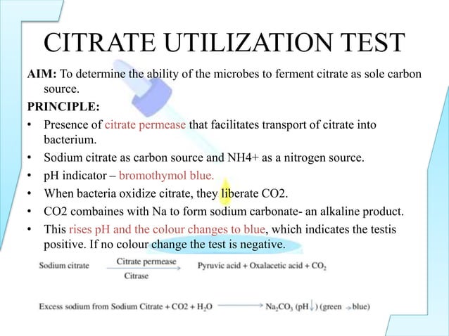 BIOCHEMICAL TEST IN MICROBIOLOGY | PPTX