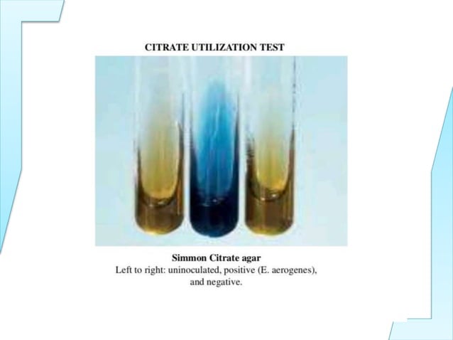 BIOCHEMICAL TEST IN MICROBIOLOGY | PPTX