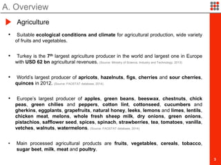 Agriculture & Food Industry in Turkey | PPTX