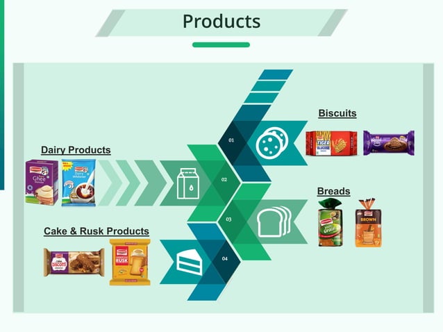 Financial Analysis of the Indian FMCG Industry | PDF