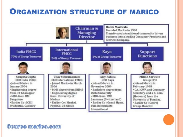 Fmcg industry- Organisation Structure | PPTX | Business Administration ...