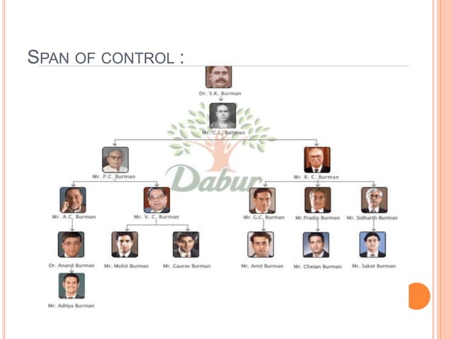 Fmcg industry- Organisation Structure | PPTX | Business Administration ...