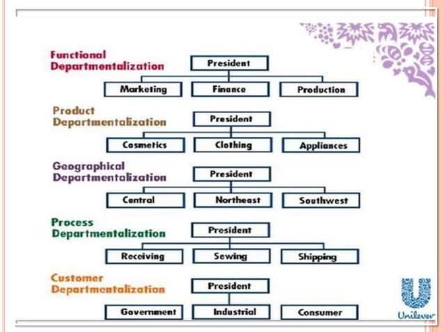 Fmcg industry- Organisation Structure